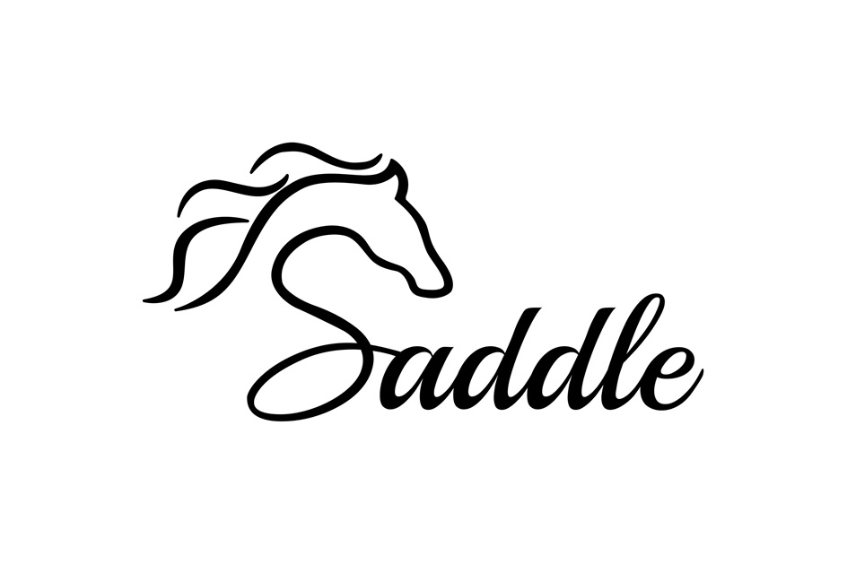 Товарный знак SADDLE № 1034427 - дата регистрации 2024-07-09T00:00:00