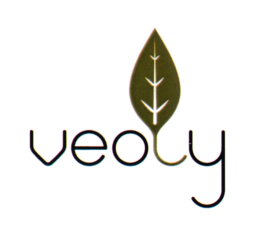 Товарный знак VEOLY № 736368 - дата регистрации 2019-11-25T00:00:00